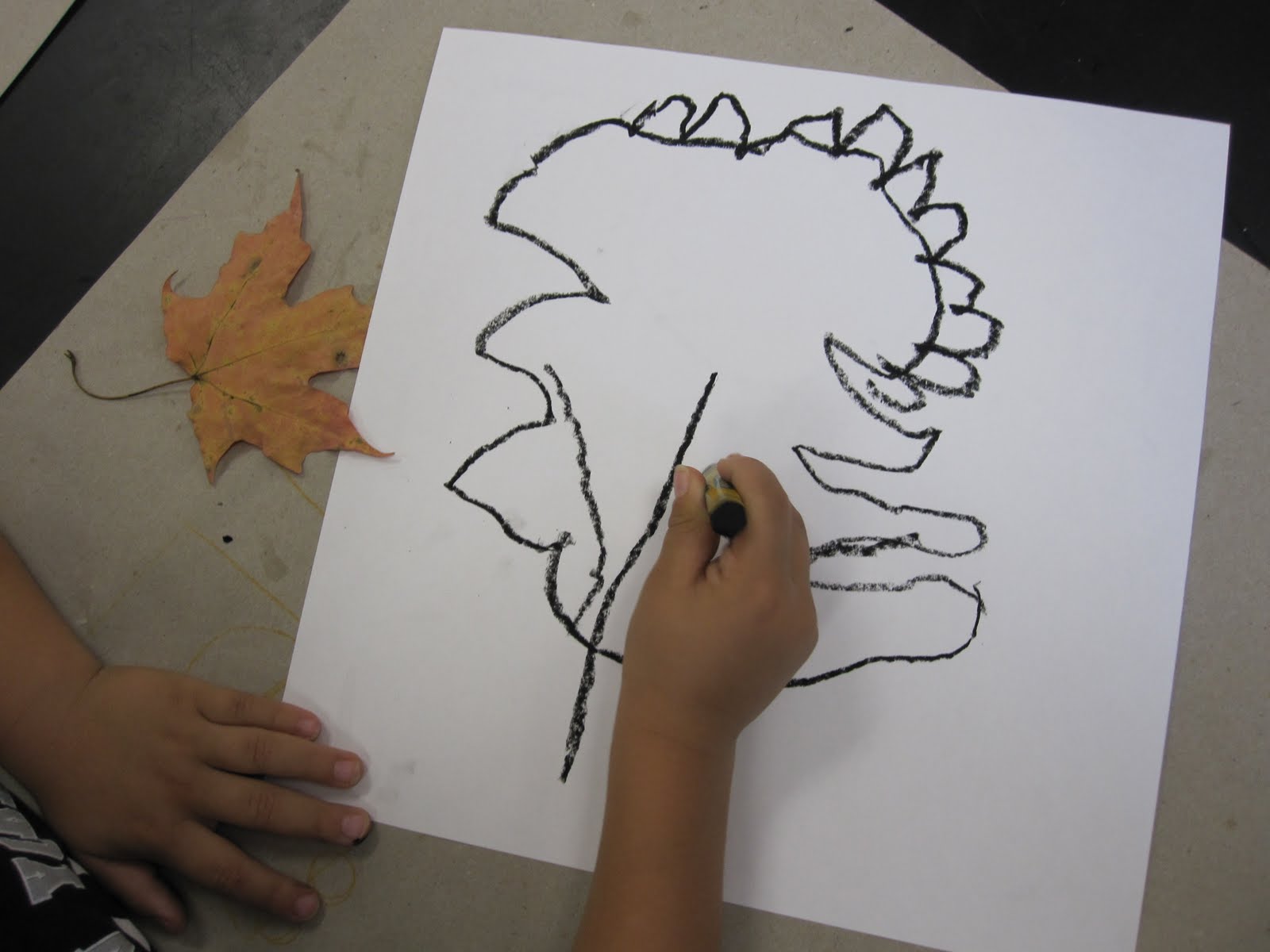 South School Art Studio: Kindergarten Observational Drawing Beginnings