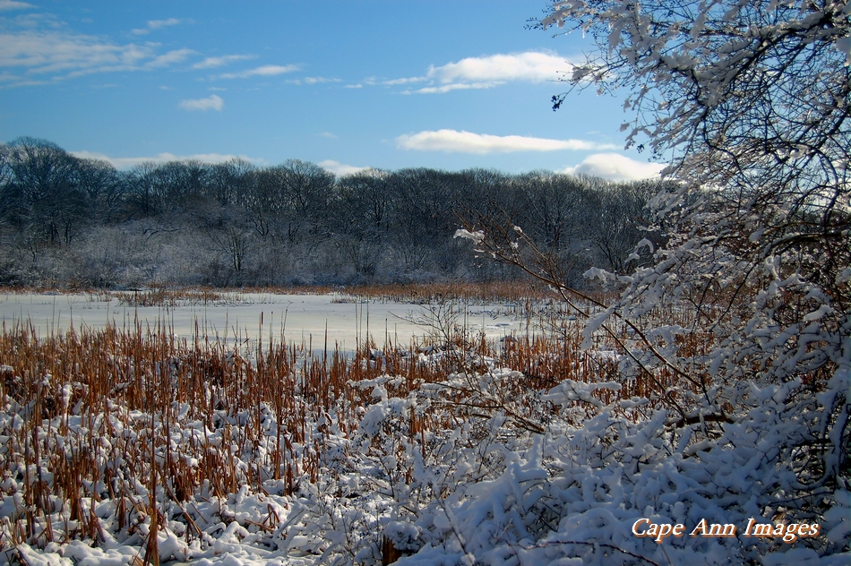 Cape Ann Images: School Bus Washes Up In Gloucester!