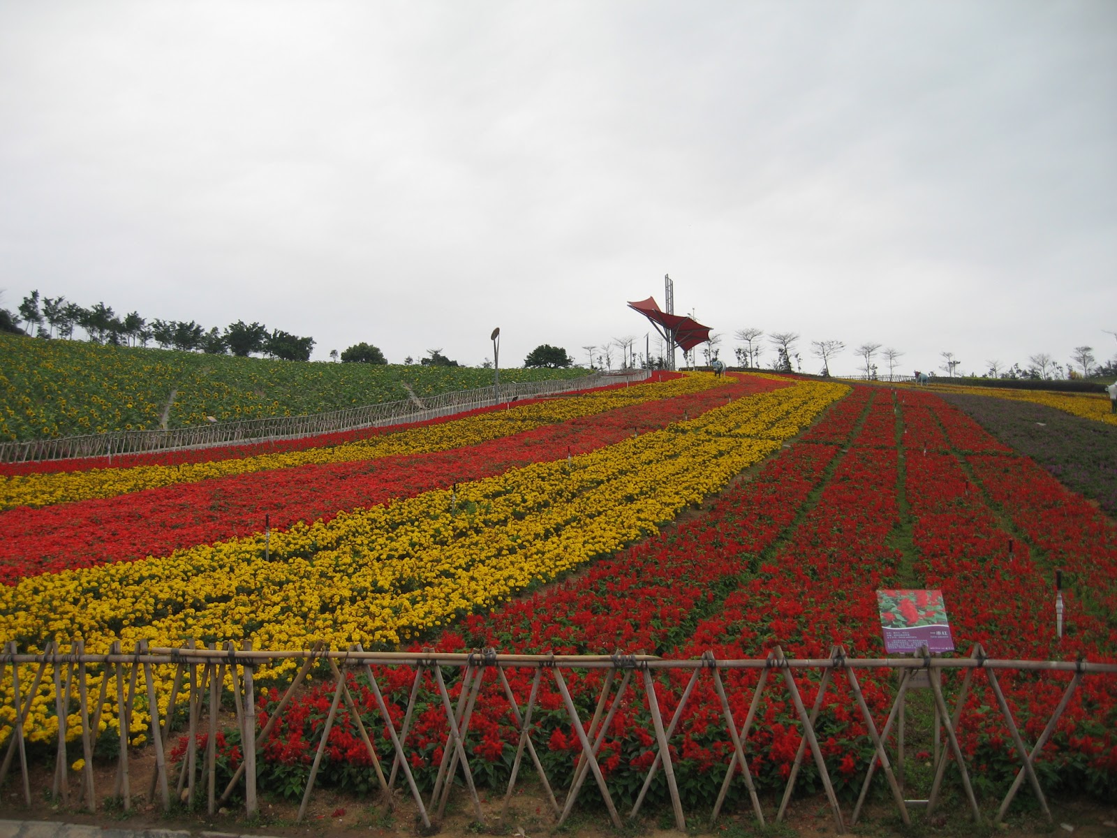 Sumptuous Flavours: Shenzhen : East Overseas Chinese Town - Tea Stream ...
