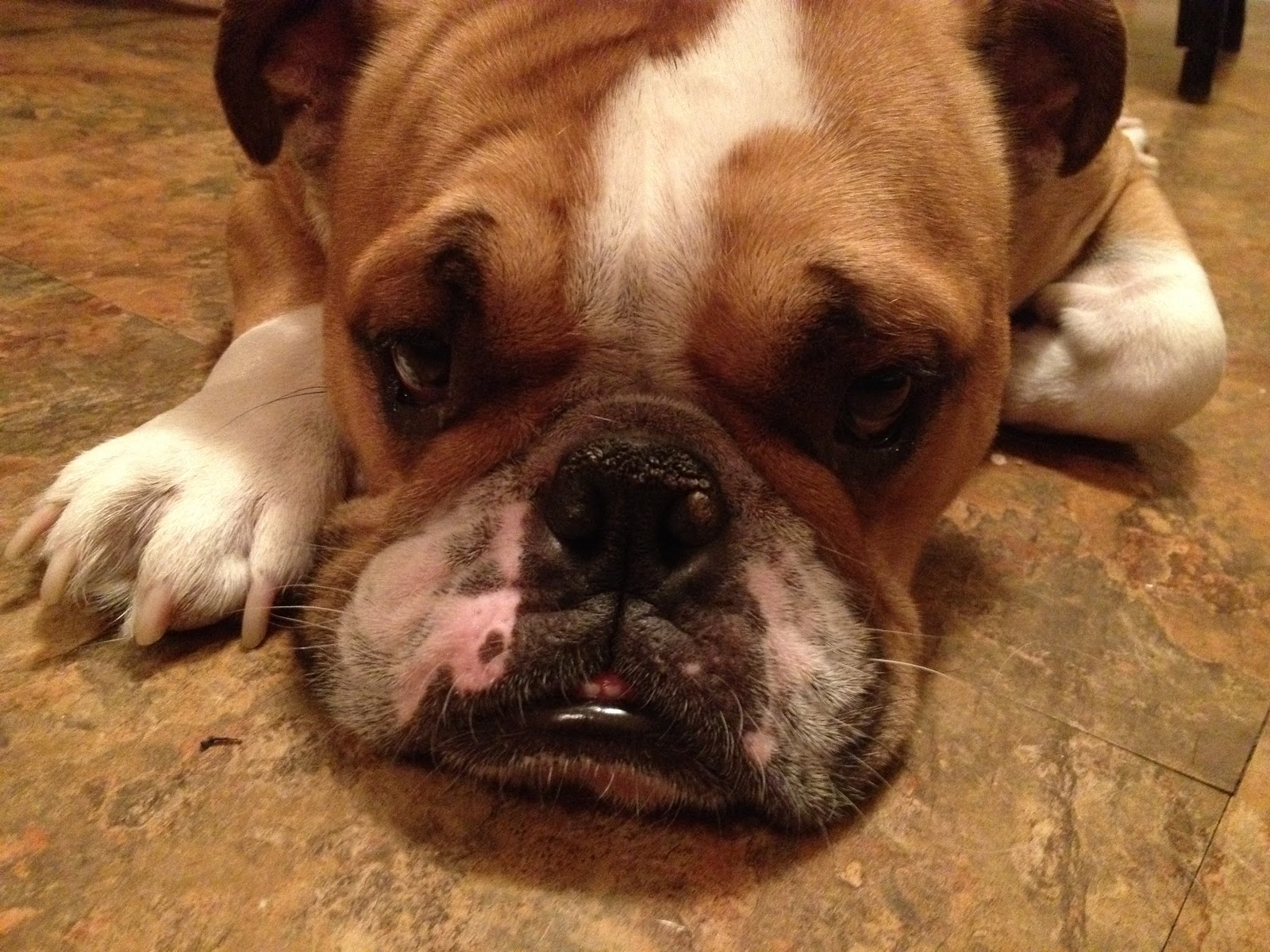 .16lstreet: Alyssa Rocks!