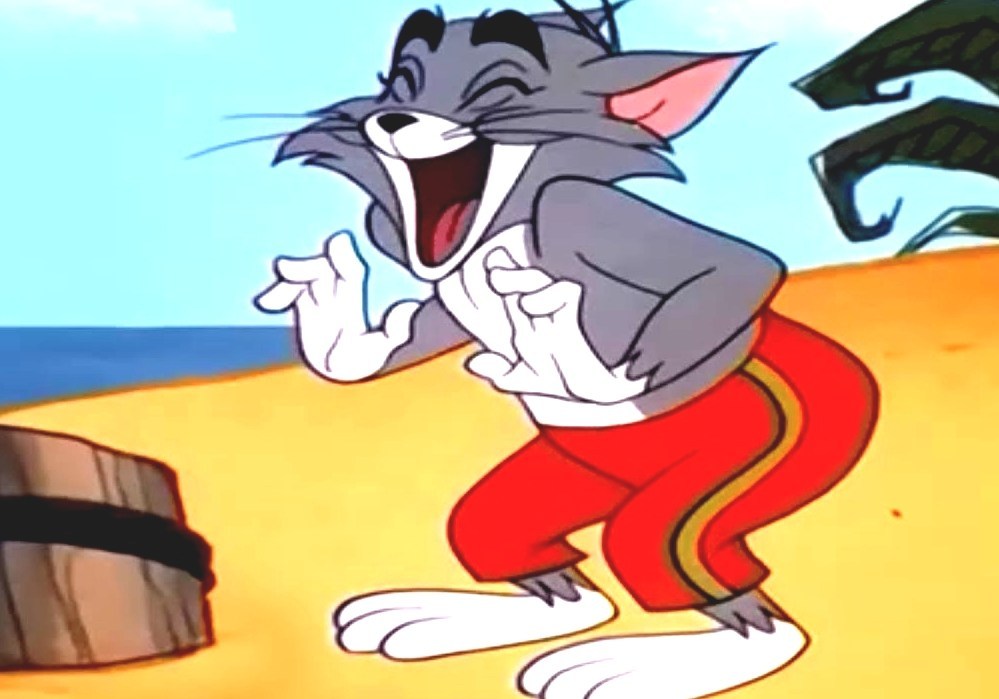 Surf-Bored Cat - Bored Cat