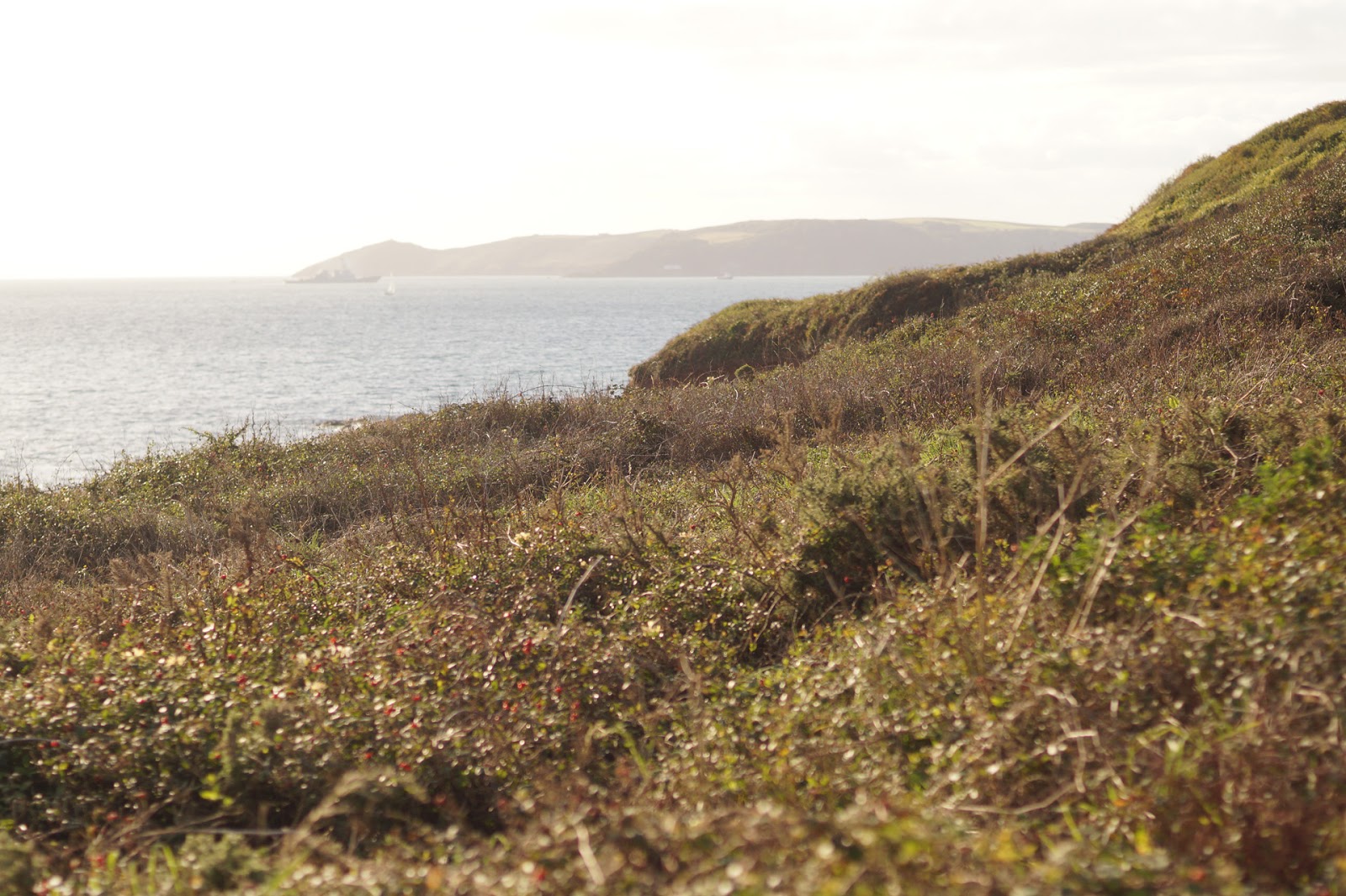 Wembury Point and the Great Mewstone - Sophie in the Sticks