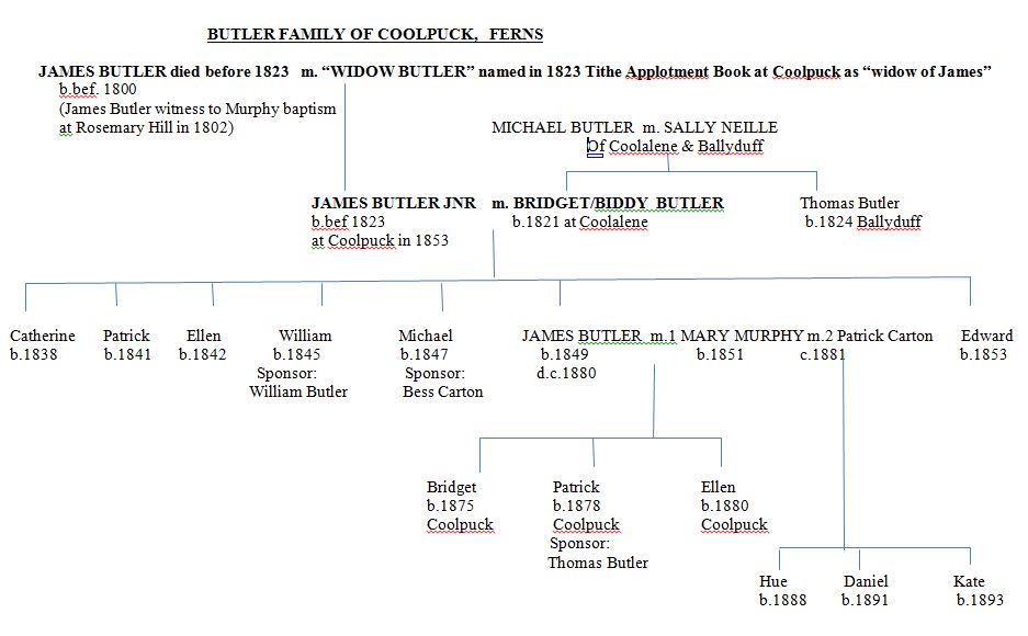 Laurence Butler- the life of a 1798 Irish Rebel: Laurence Butler- Ch ...