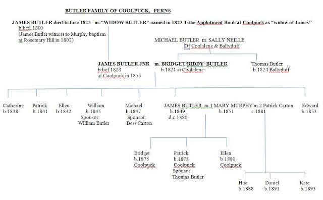 Laurence Butler- the life of a 1798 Irish Rebel: Laurence Butler- Ch ...