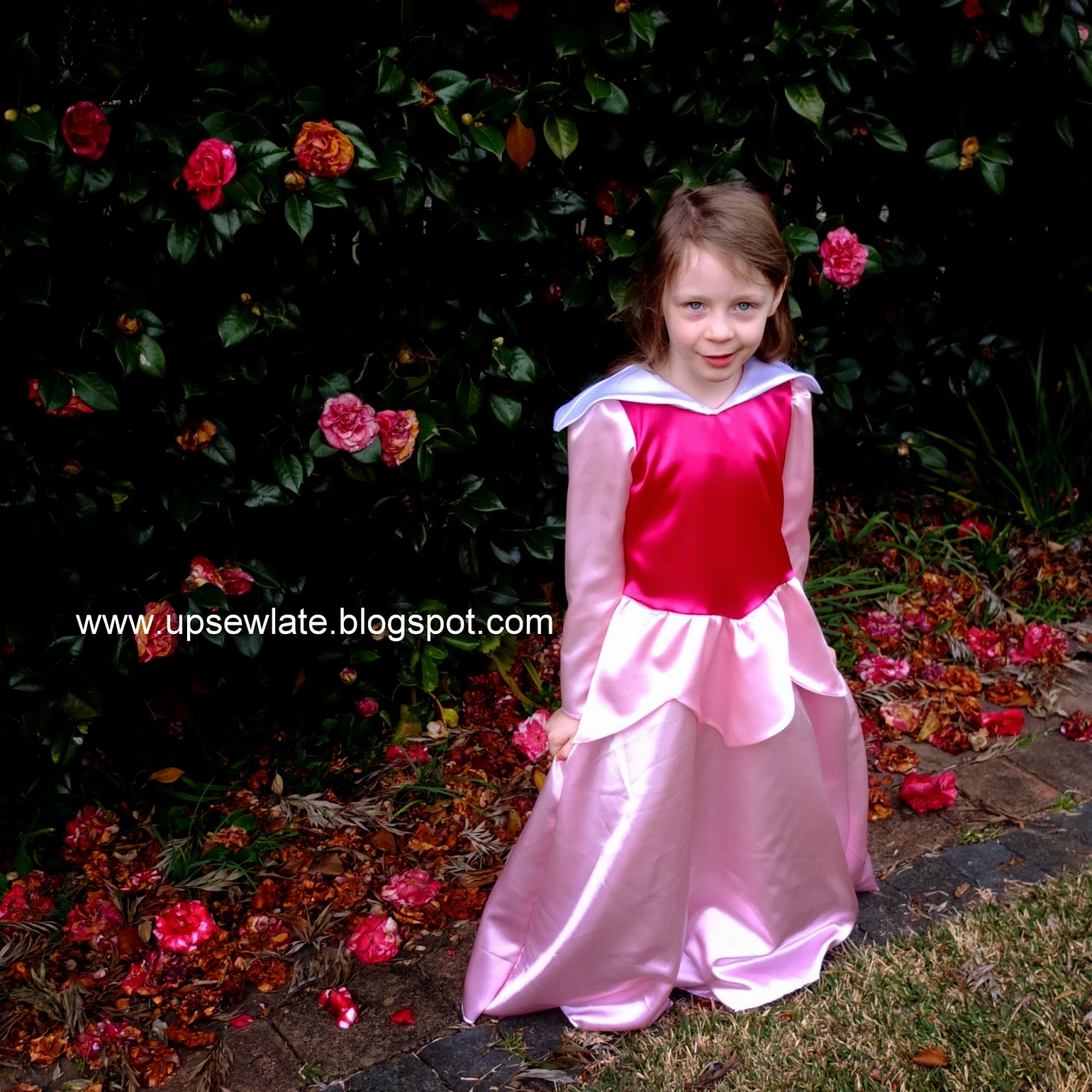 Princess Aurora Costume Pattern