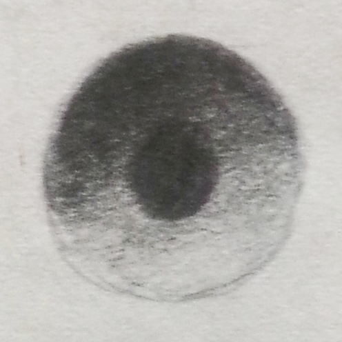 Quick Guide to Draw Realistic Eyes with Pencil - Fine Art and You