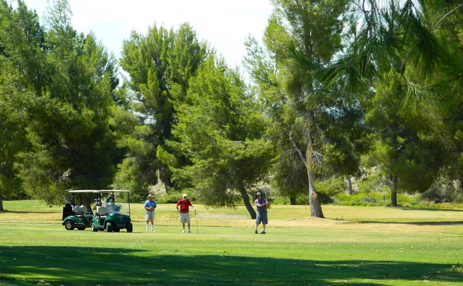 Timeless Environments: What makes the grass greener at "Vineyard Golf ...