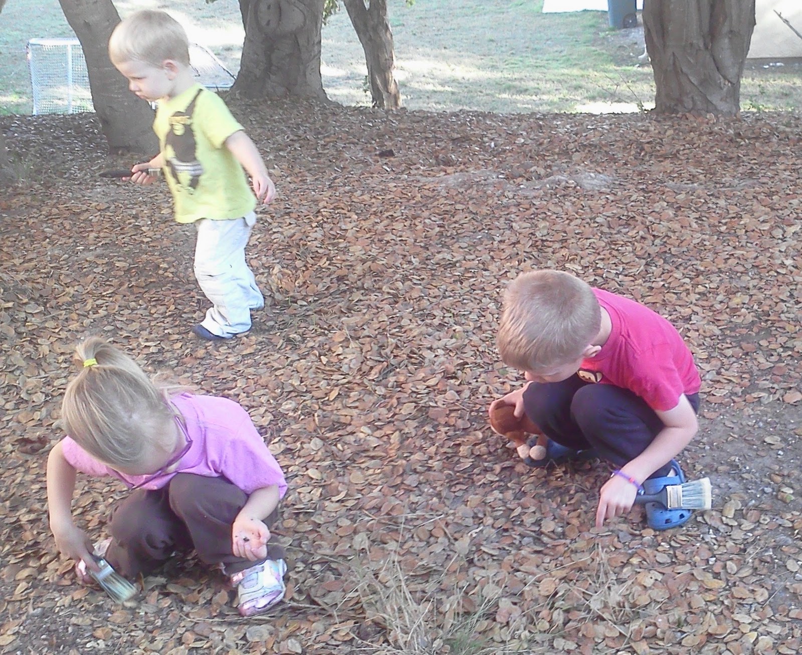 The Preschool Scientist: Going on a Bug Hunt!