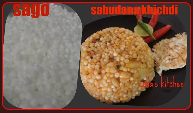 USHA'S KITCHEN: what is Sago, also known as sabudana...