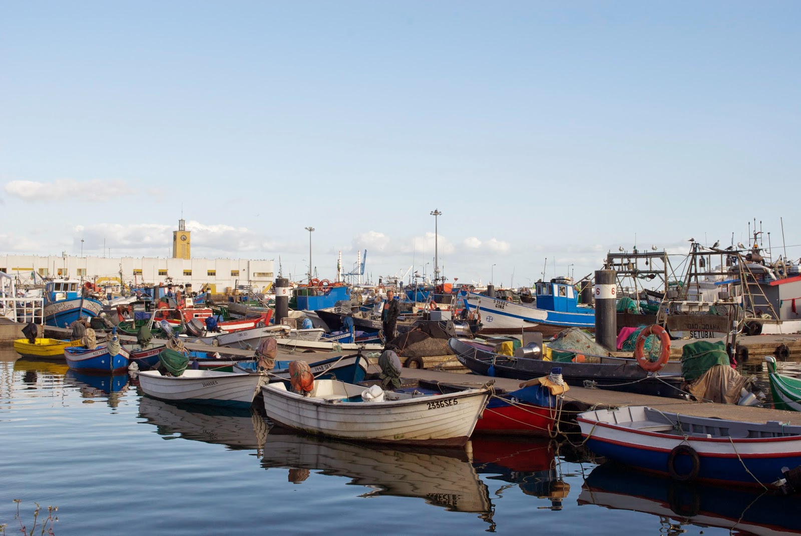 Discover Setúbal, Portugal: Discover Setúbal I