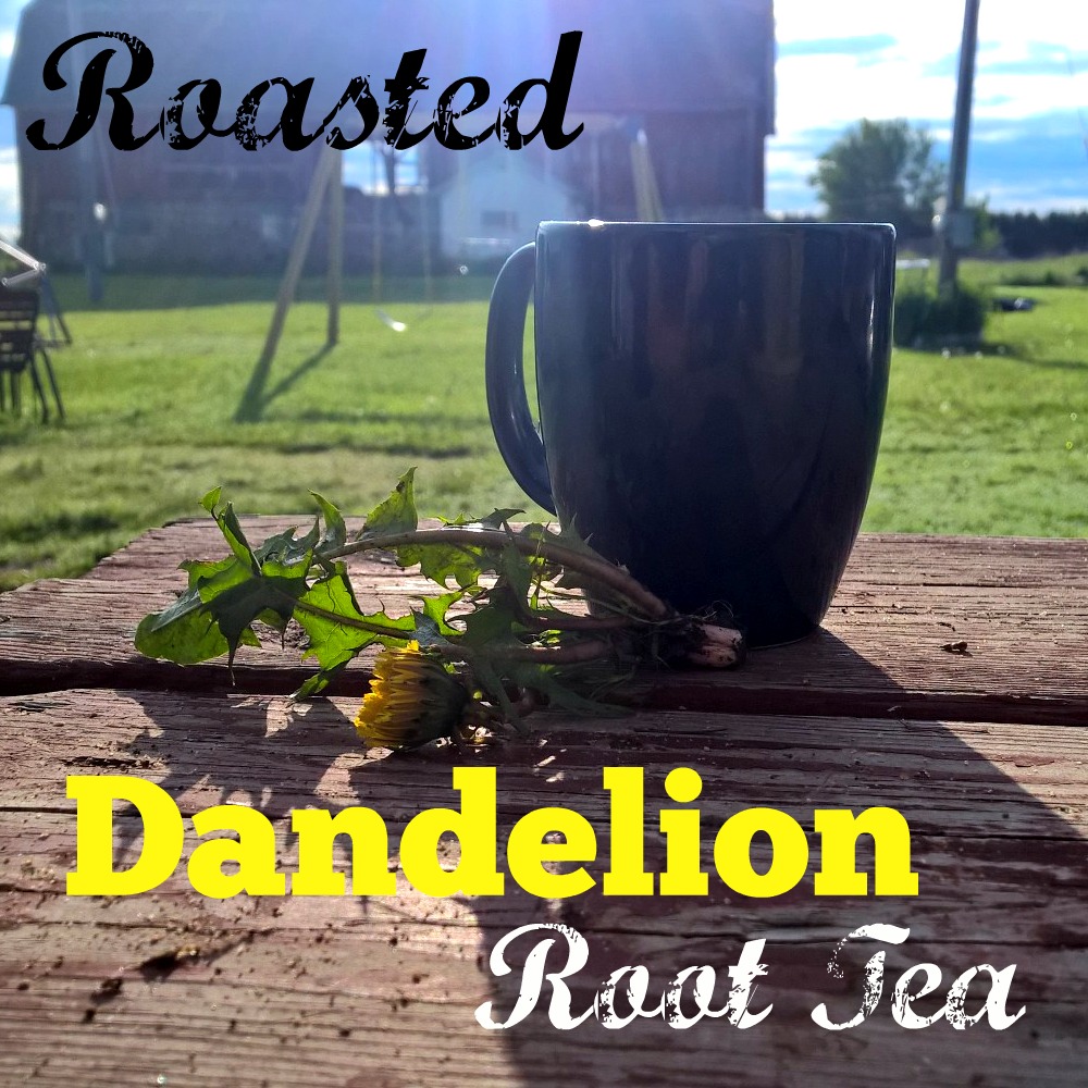 Roasted Dandelion Root Tea
