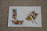 Children's Learning Activities: L is for Leaves