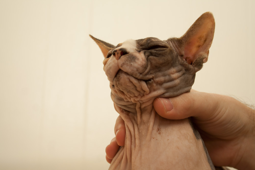 Rachel Asplund's photos