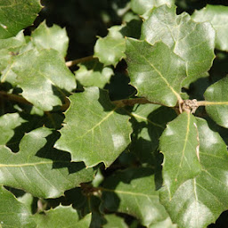 DISFRUTAR CON EL HUERTO Y EL JARDÍN