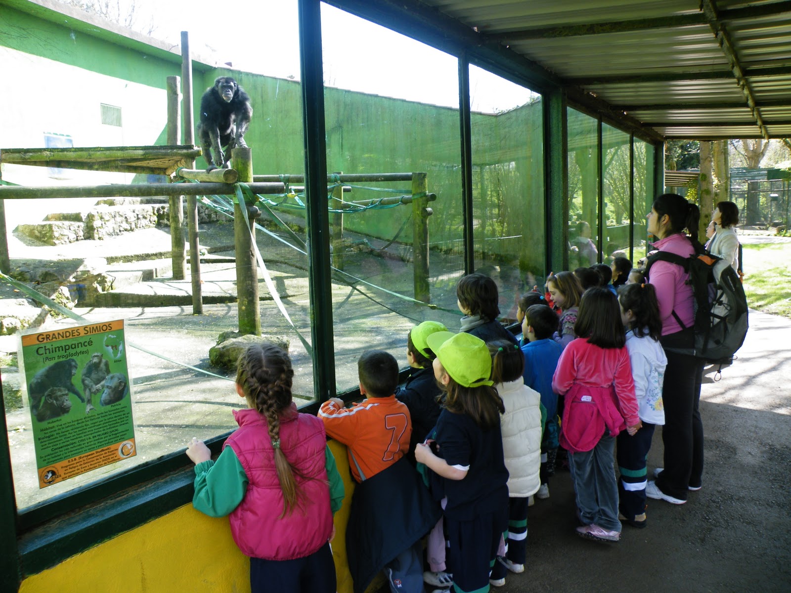 Clase de los animales : Nos vamos al zoo