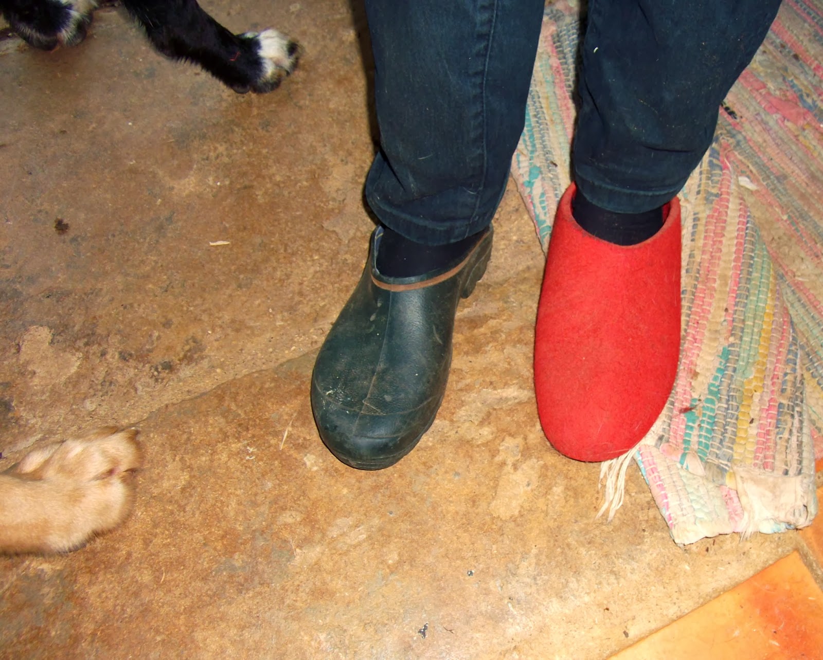 Magnon's Meanderings: Lady M's Shoes.