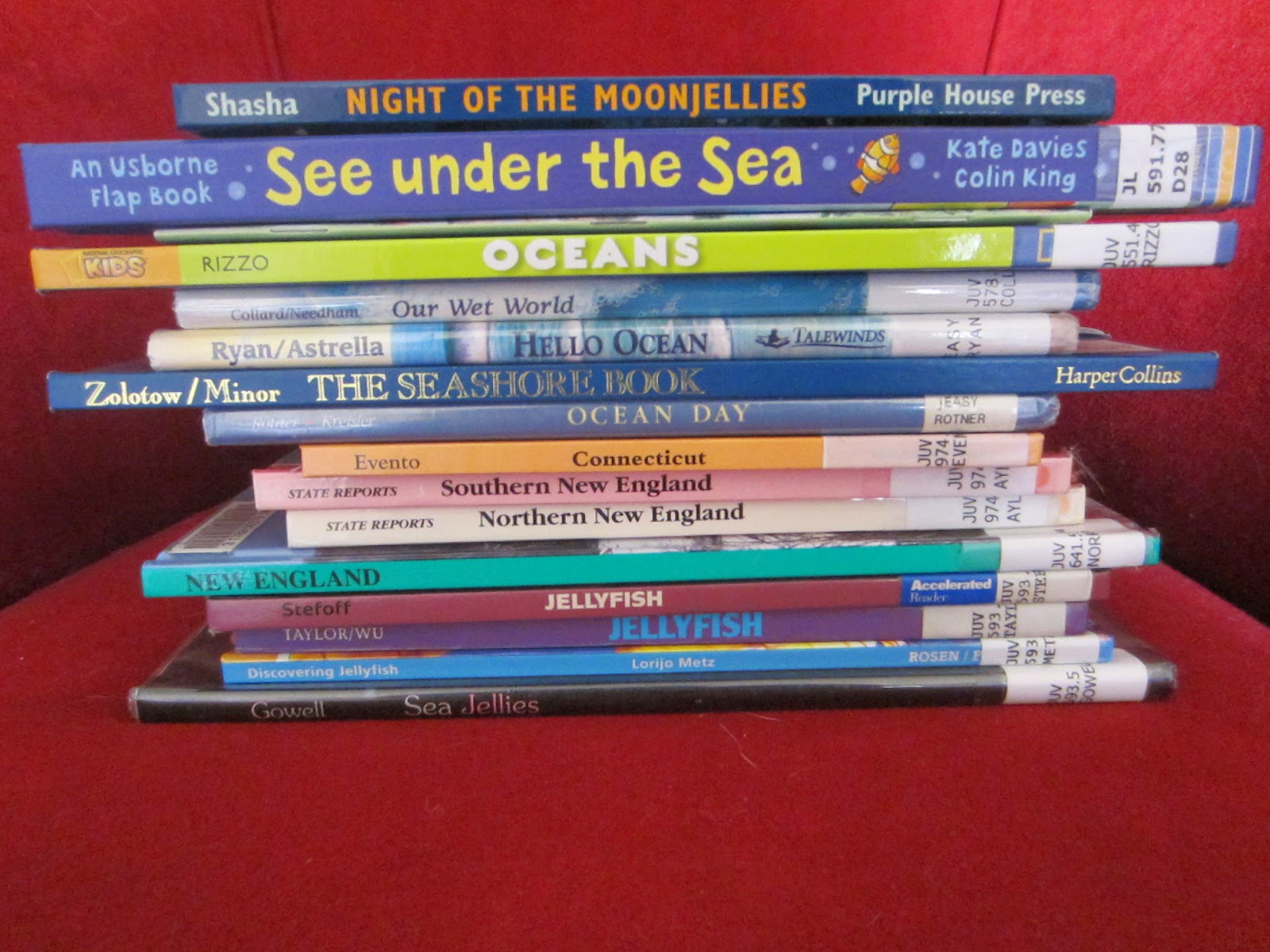 Jeffany: The Browns' Blog: Five In A Row: Night of the Moonjellies