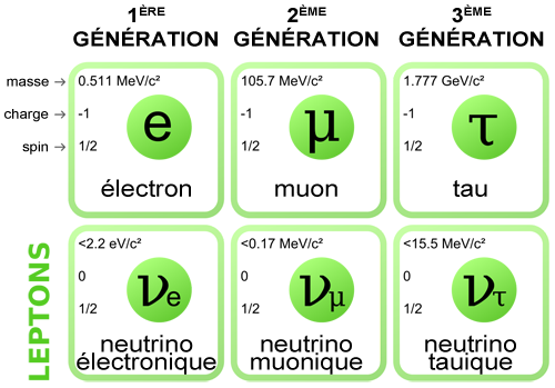 Darwin's Kidneys: Atomic Tuesday: The Leptons