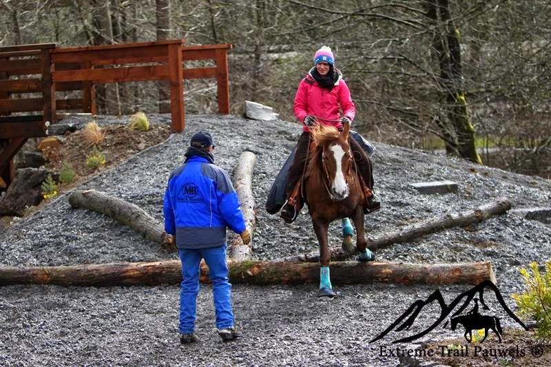 Buckaroo Leather Horse Tack, Use, Care and Maintenance: What is Extreme ...