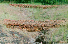 Watershed Development: Gully Plugging