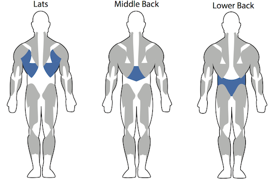 Exercises For Muscular And Strong Back - FITNESS Duniya