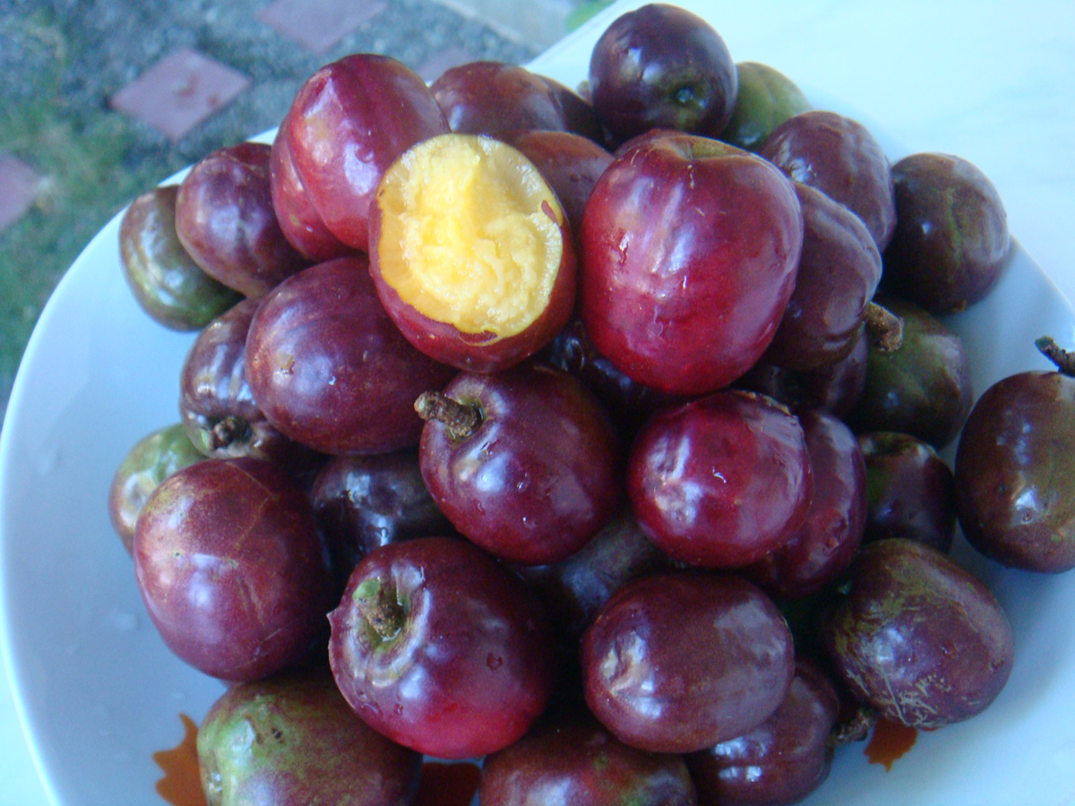 ChamoruBoy: Gi Annai Dumådångkulu Yu'