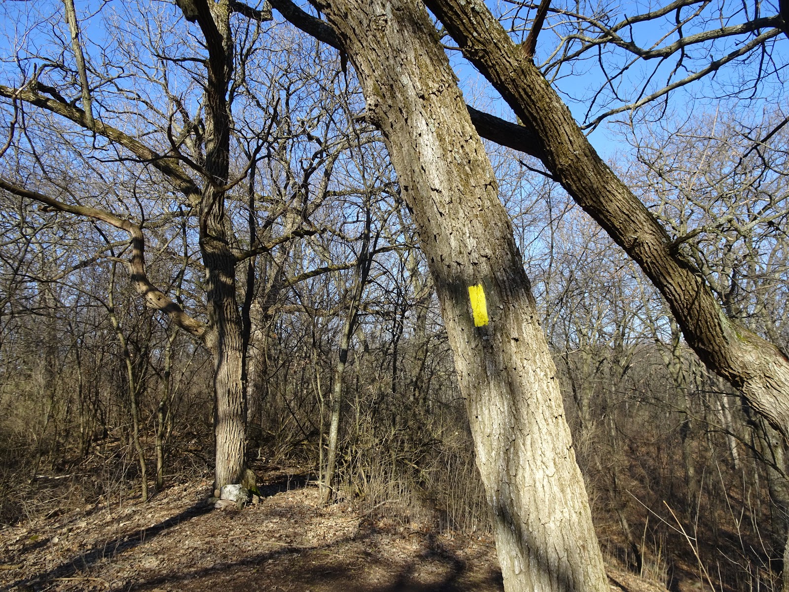 Mama's Basecamp: Lapham Peak Segment of the Ice Age Trail