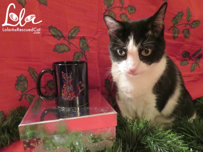 Cat Themed Mugs For The Coffee Lover | Lola The Rescued Cat