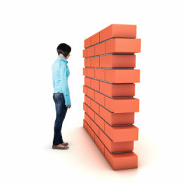 BIJAK PILIHAN: Tembok Penghalang menurut Randy Pausch