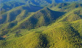 CENSORED NEWS: Auction of Pe'Sla cancelled by owners