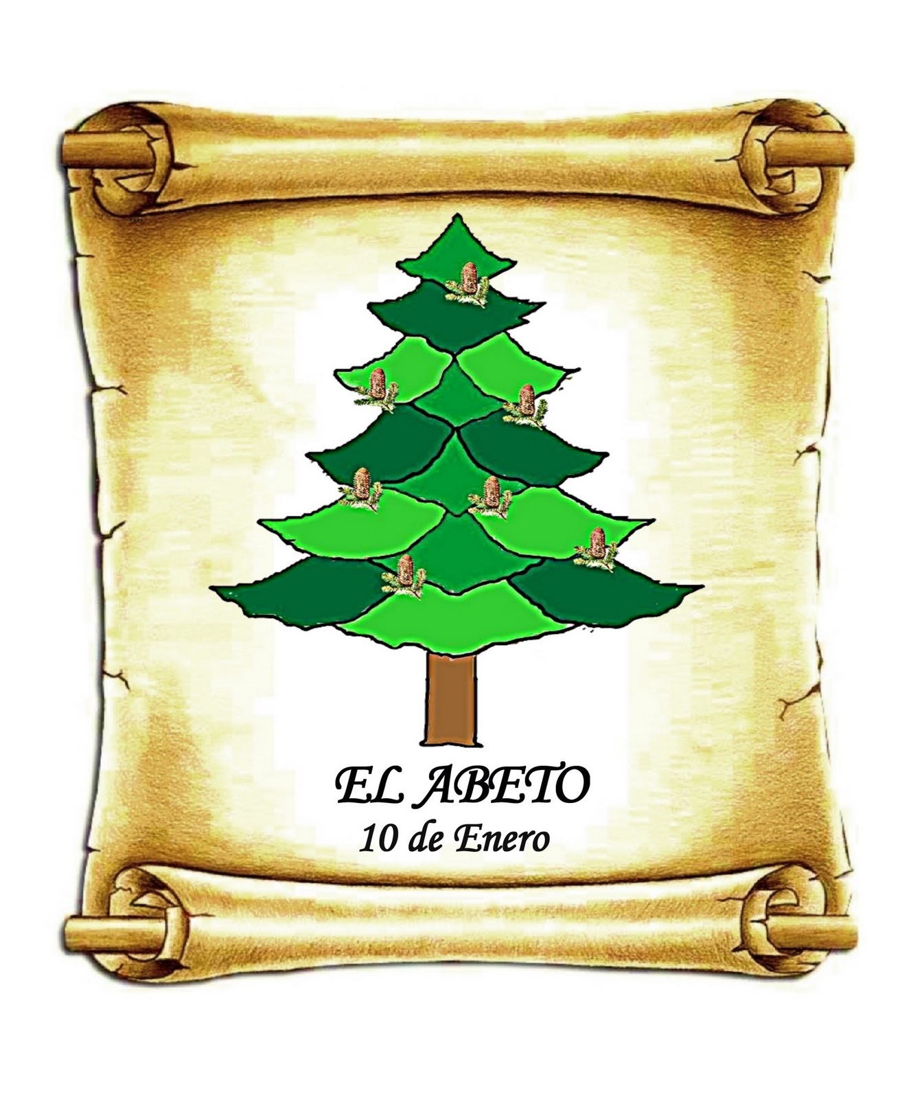 El rbol De Tu Vida Hor scopo Celta 10 De Enero El Abeto Misterio el-rbol-de-tu-vida-hor-scopo-celta-10-de-enero-el-abeto-misterio