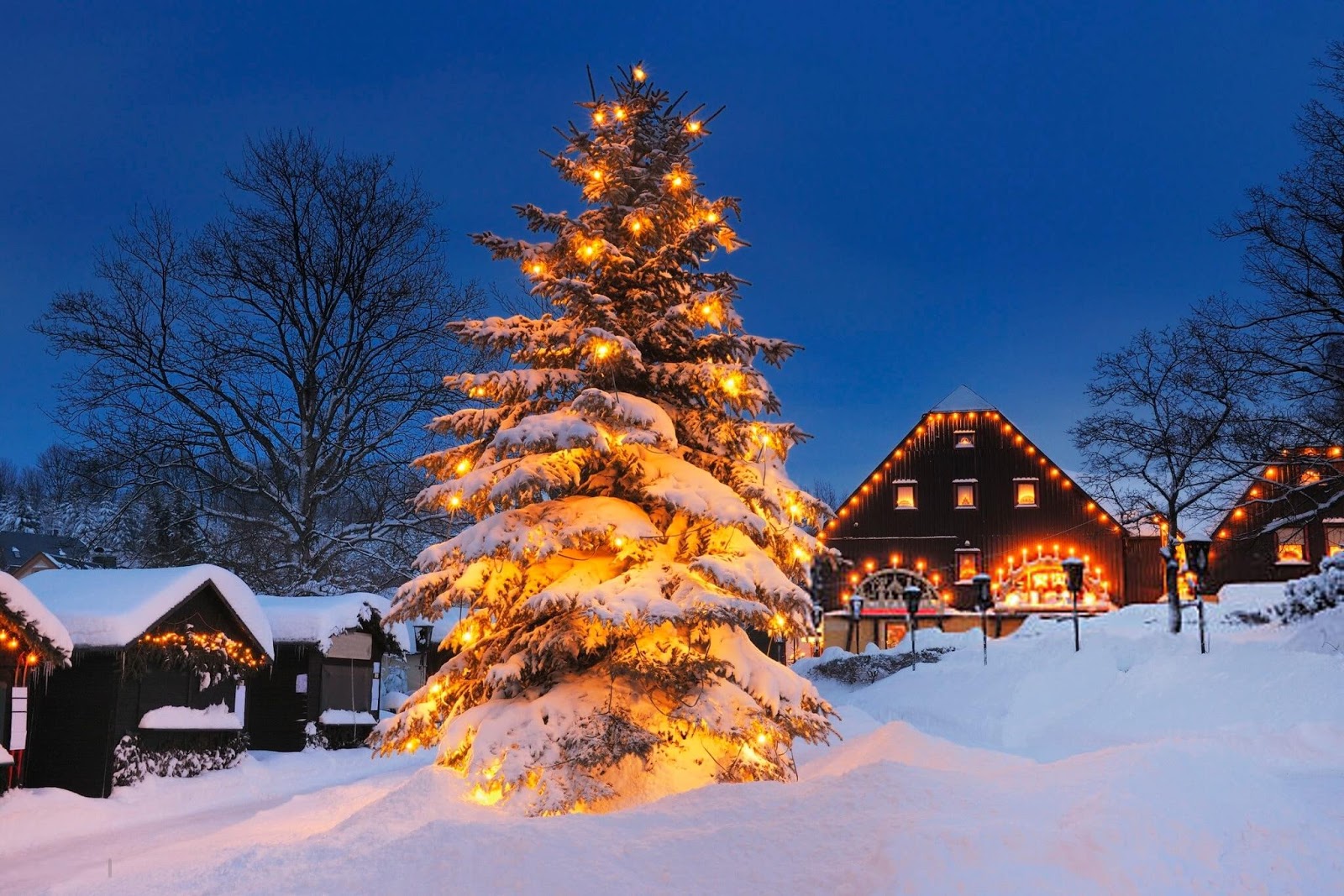 Christmas Scenes Images & Christmas Scenes Wallpaper in HD