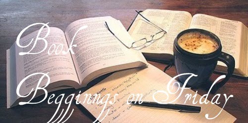 de tinta en vena: BBF# 15 con Ana Cabrera Vivanco