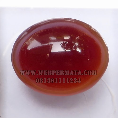 Merah Batu Permata: Batu Akik Red Rafflesia Bengkulu