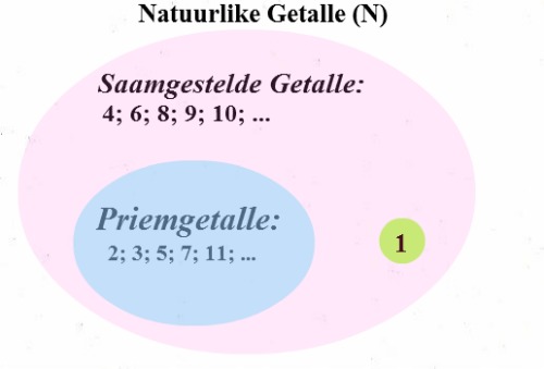 Wiskunde Graad 7 en Graad 8: Getalle