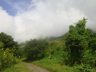 Pinoysiklo: Mt. CRISTOBAL ( Devil's Mountain )