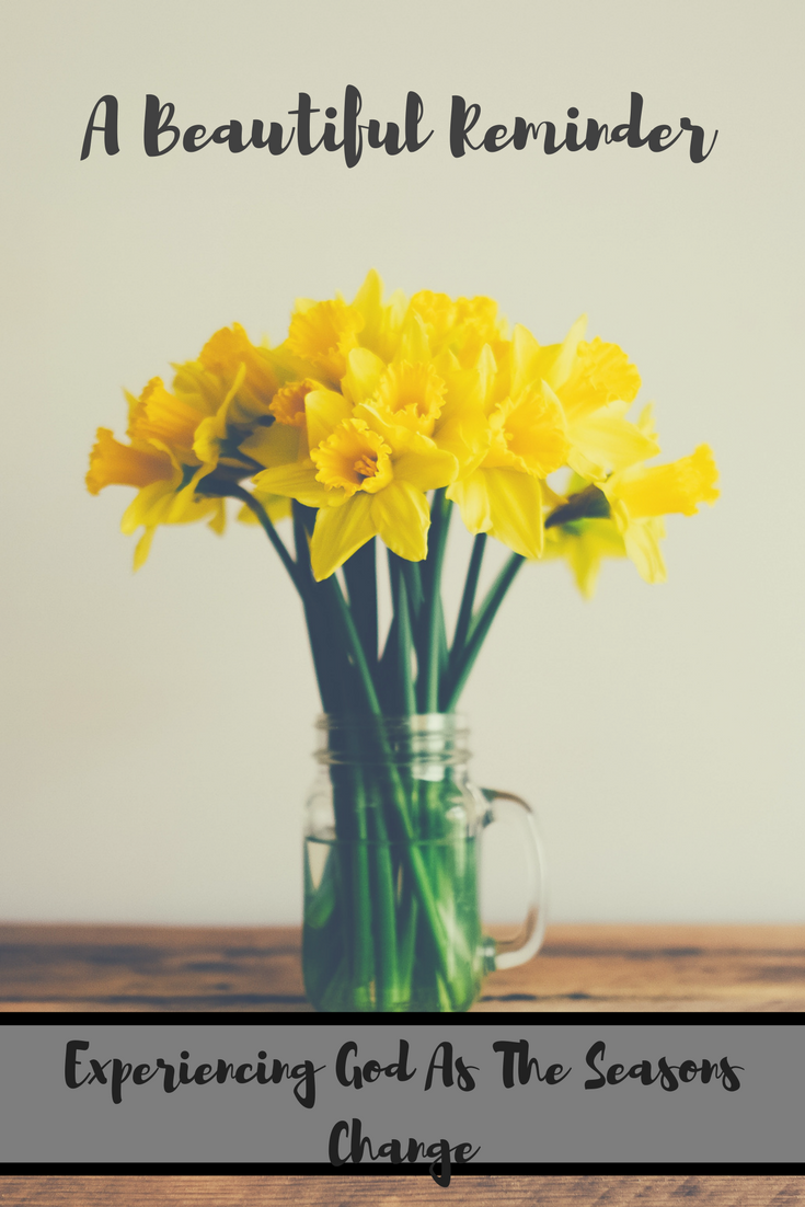 Discovering Grace: Beautiful Reminder