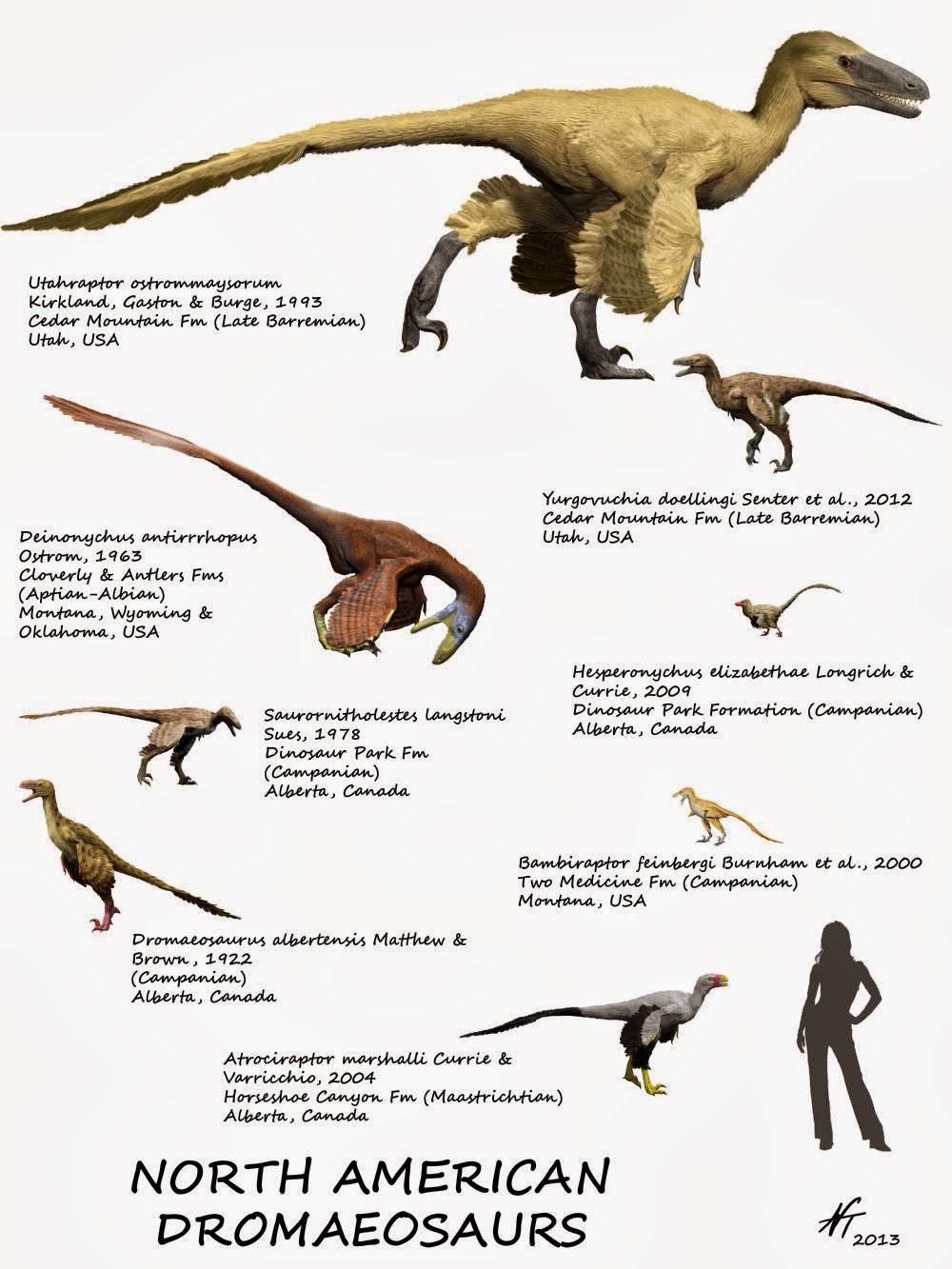 Dromaeosauridae - Alchetron, The Free Social Encyclopedia