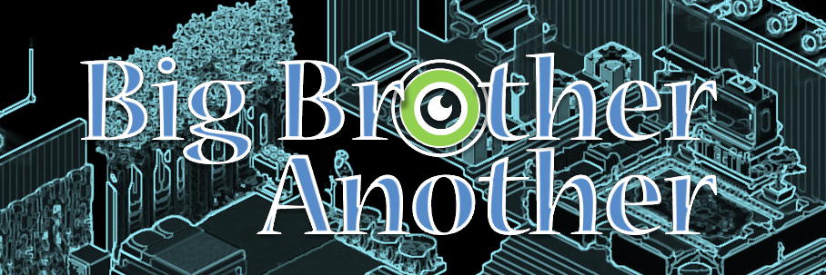 Big Brother Another 7