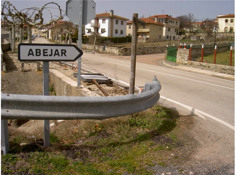 El Día De Abejar: Fotos de Abejar