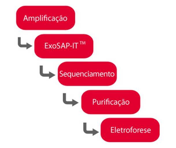 Sequencing Experiences for Life: A Importância da Tipificação HLA