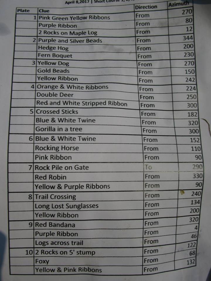 In which we run away to a treasure hunt, and we take the horses