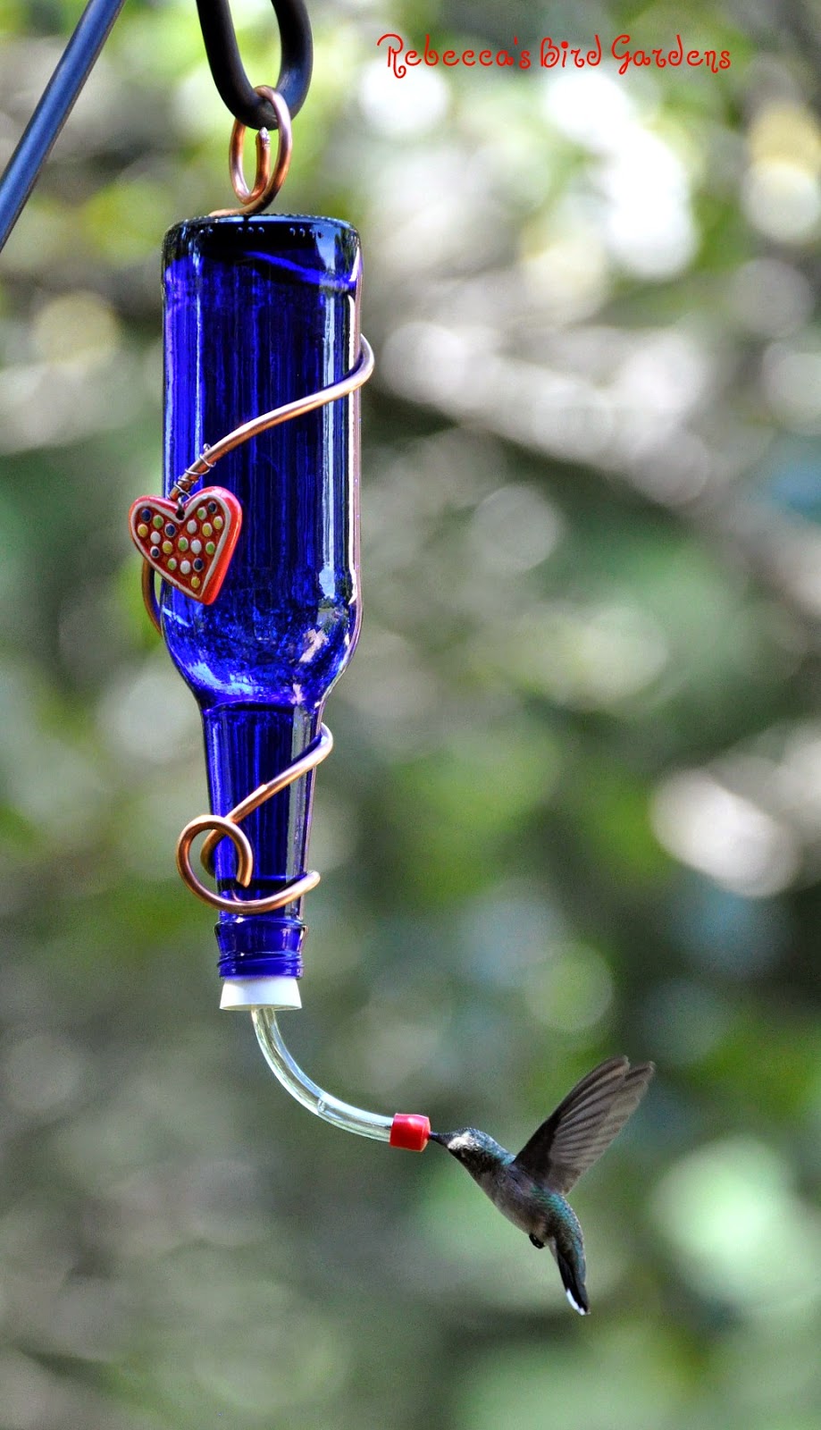 Rebecca's Bird Gardens: Products and Photos