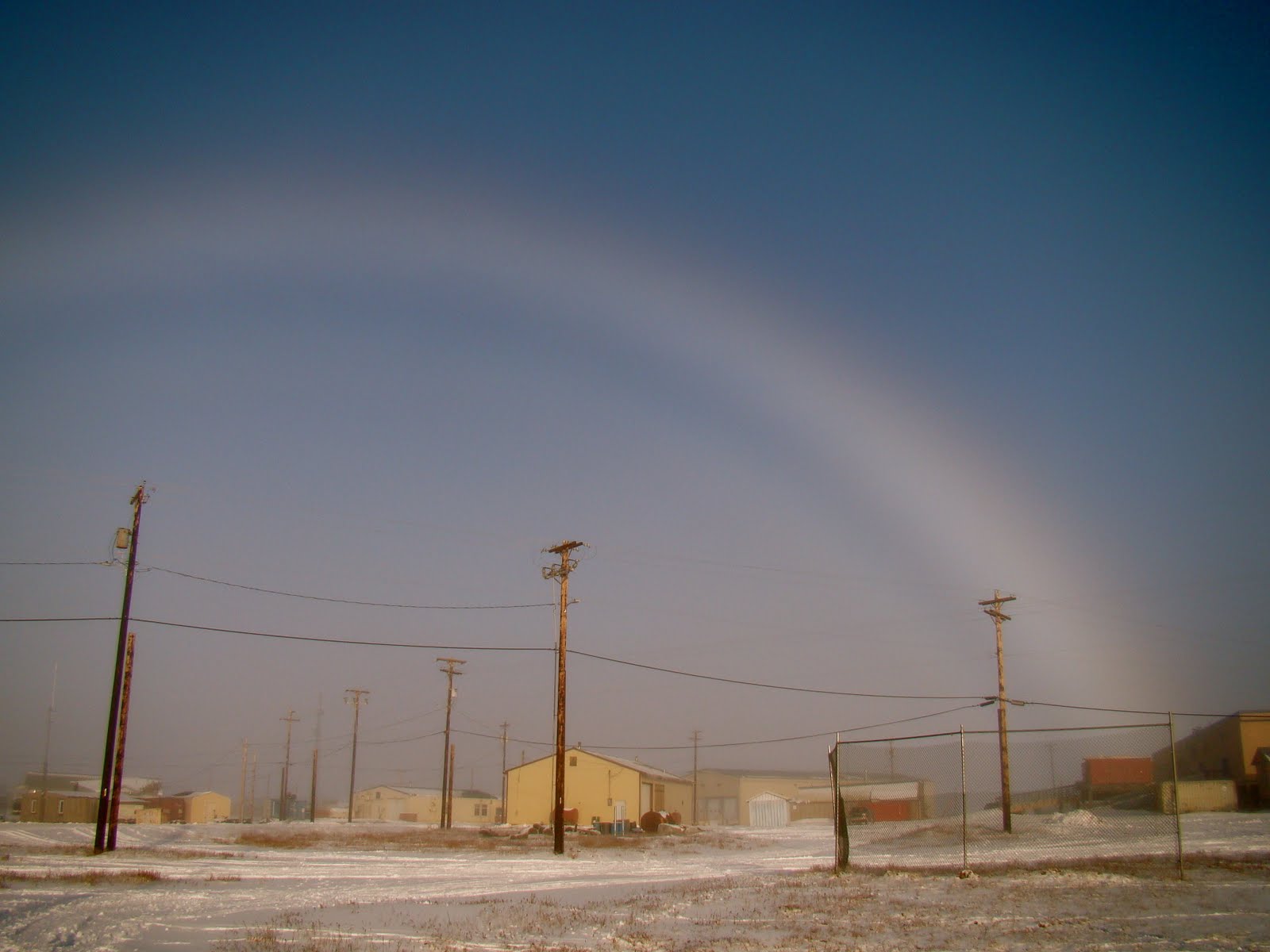 The Buggy Side of the Dog: Snowbow or Icebow?
