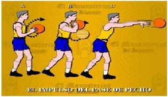 EDUCACIÓN FÍSICA: BALONCESTO