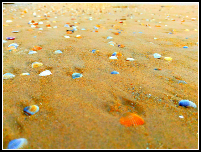 The Traveller: Digha ~ Popular beach destination of Bengal