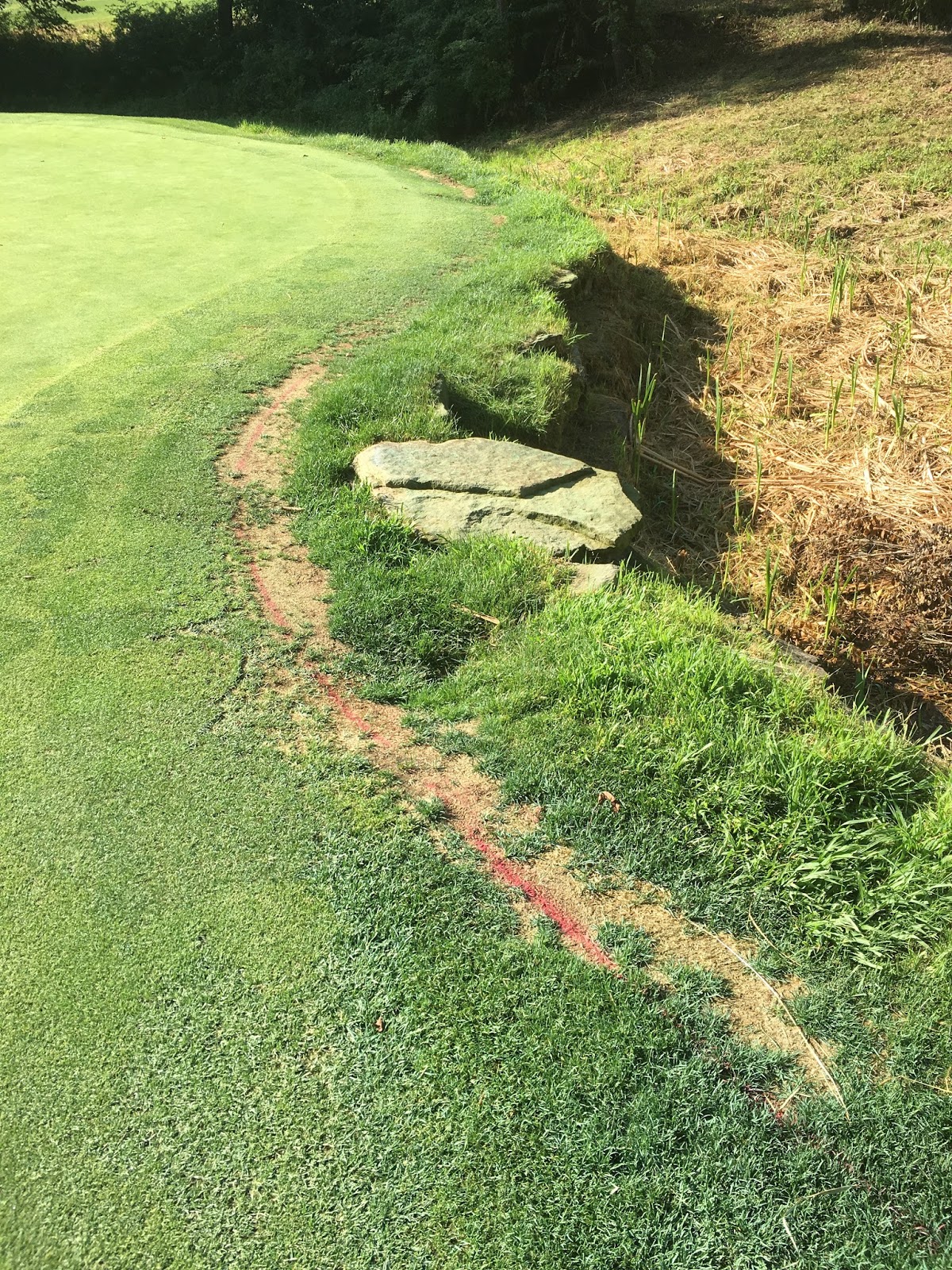 Treesdale Golf and Country Club Golf Course Maintenance: Construction ...