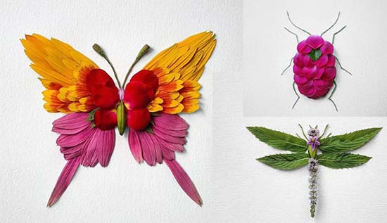 Indah, Seniman Ini Buat Replika Serangga Dari Bunga - Pusat Logos ...
