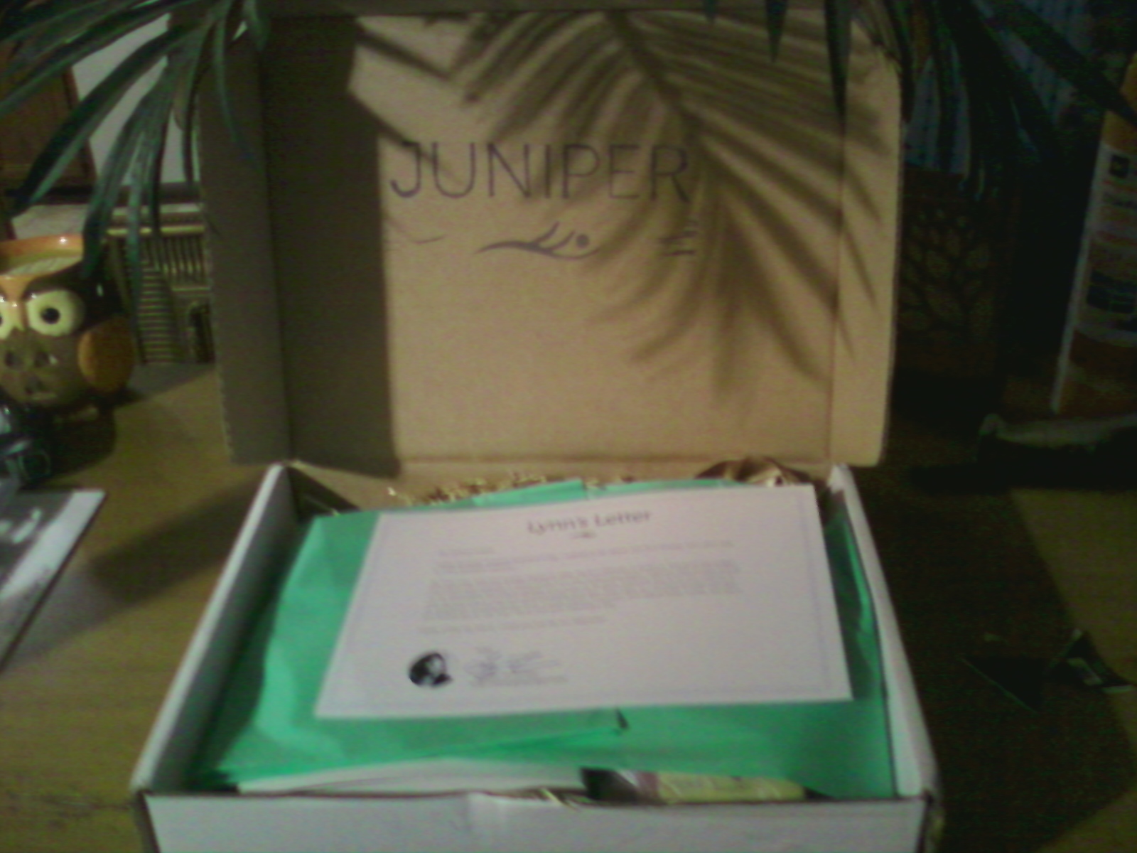 The Fashion Bug in Florida: Juniper Box Review- February 2013- Monthly ...