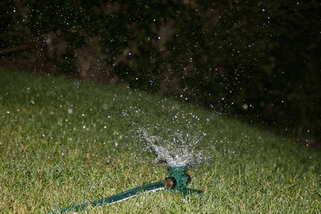 Oodalalee hound.: June 2011